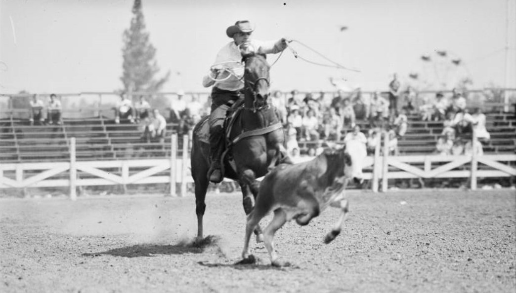 Water and Power Associates